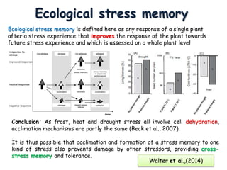 Brain in plant | PPT
