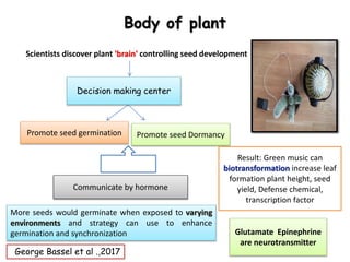 Brain in plant | PPT