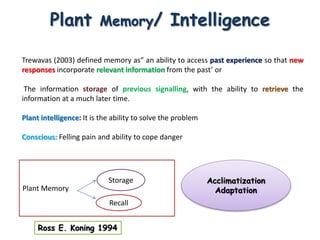 Brain in plant | PPT