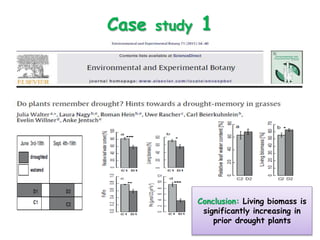 Brain in plant | PPT
