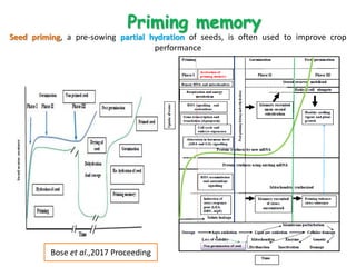 Brain in plant | PPT