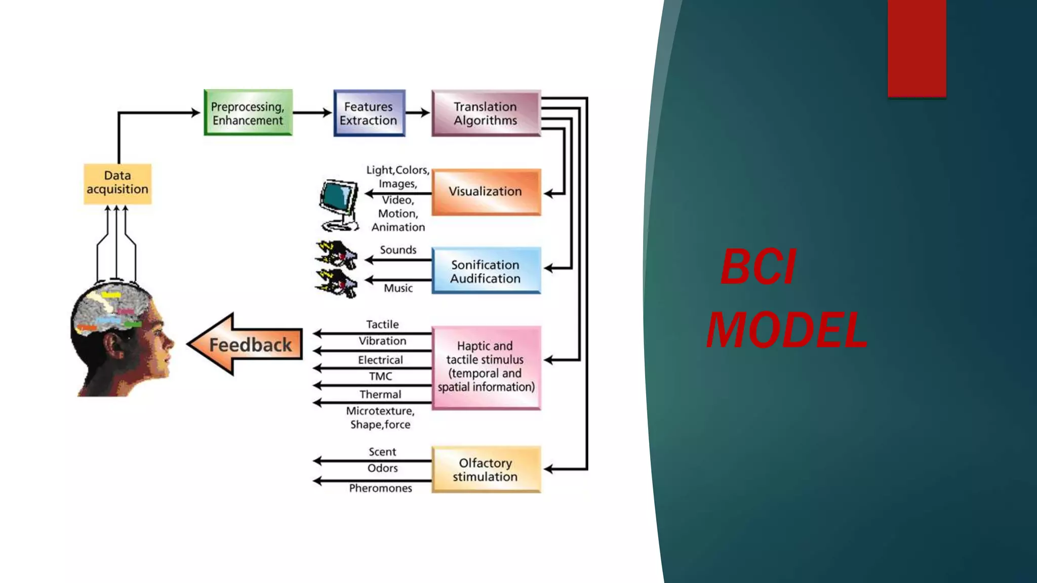 HUMAN BRAIN INTERFACE | PPTX