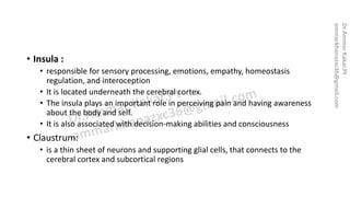 brain labelling neuroanatomy(introduction to neuroanatomy).pptx