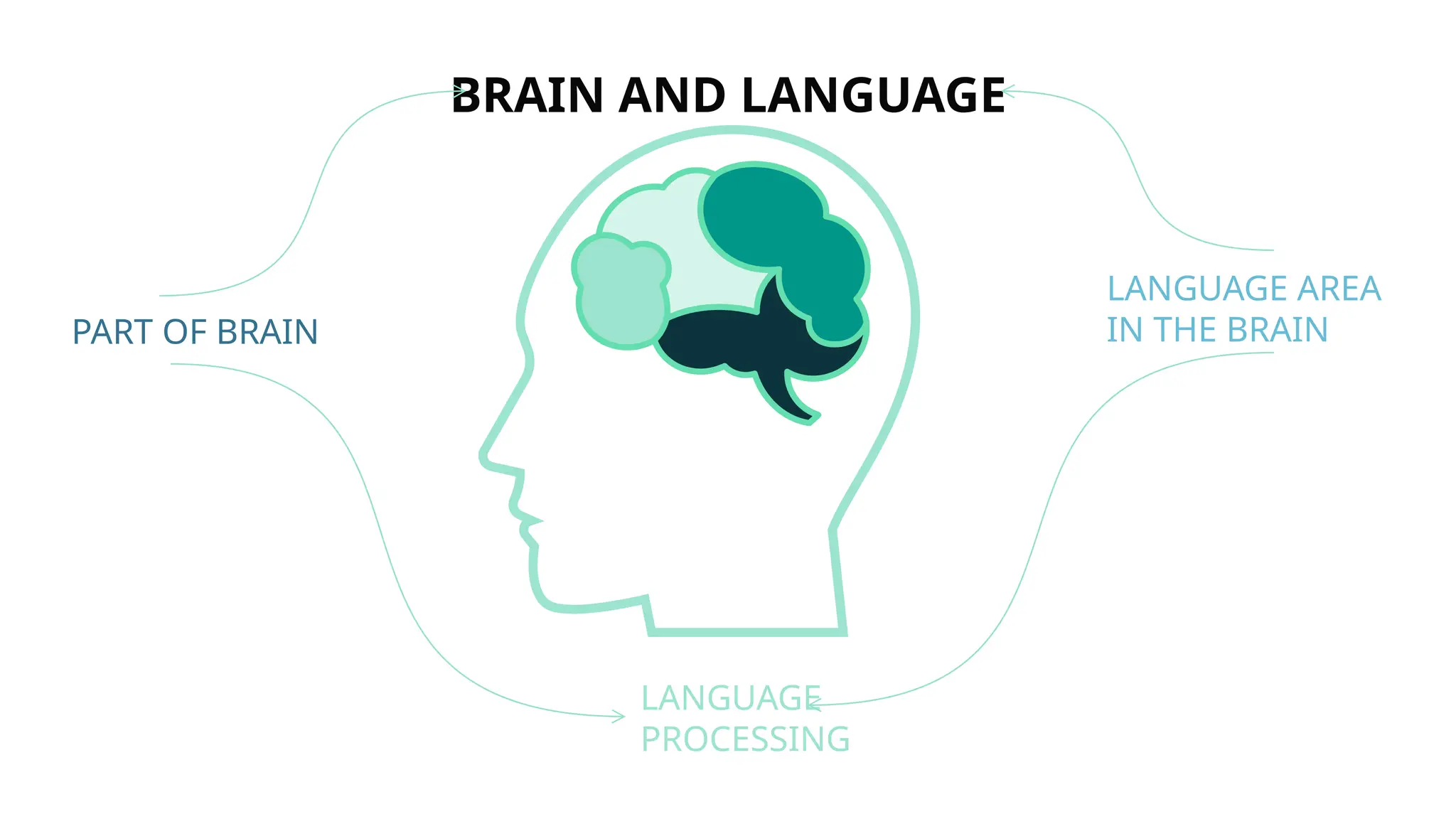 brain and languages_M.RyanSufrianto.pptx