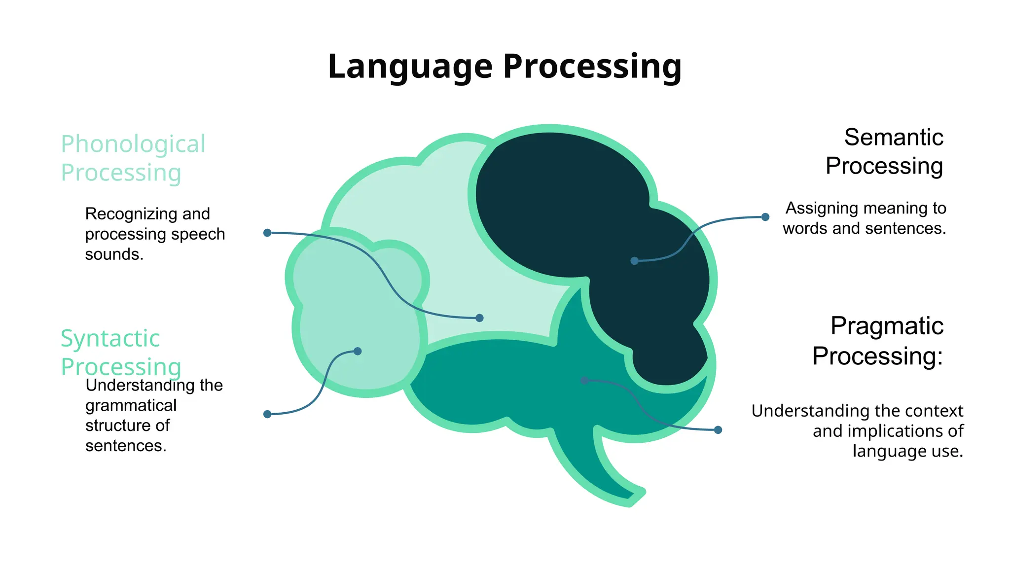 brain and languages_M.RyanSufrianto.pptx