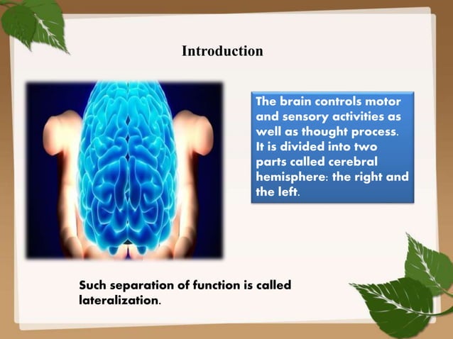 Brain lateralization | PPTX
