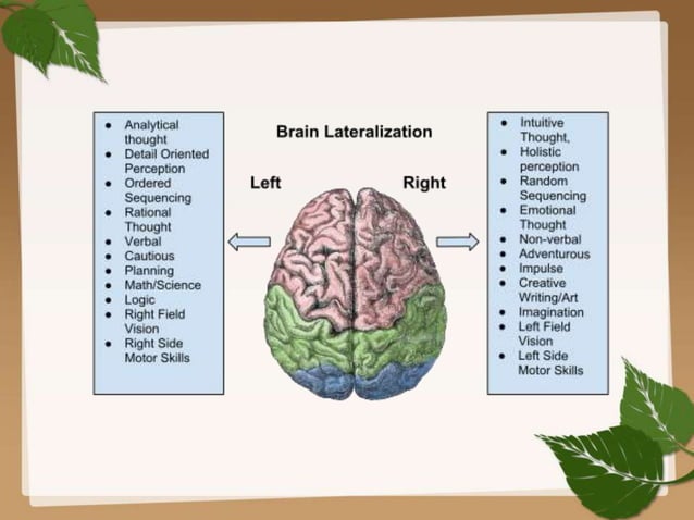 Brain lateralization | PPTX