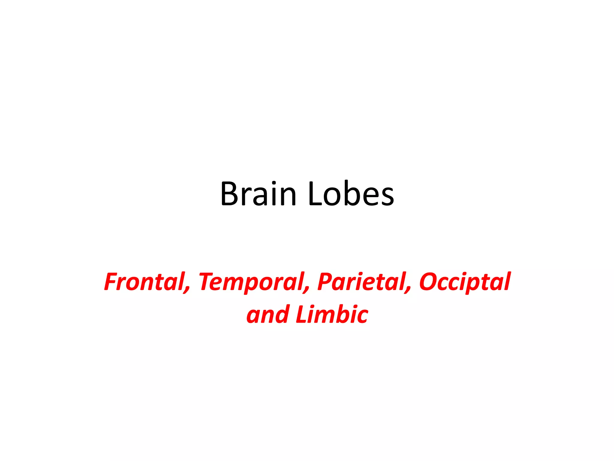 Brain lobes | PPT