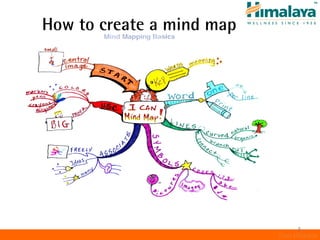 Brain mapping | PPT