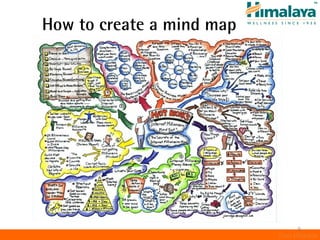 Brain mapping | PPT
