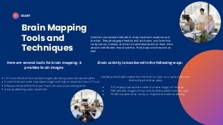 What Exactly is Brain Mapping (1).pdf