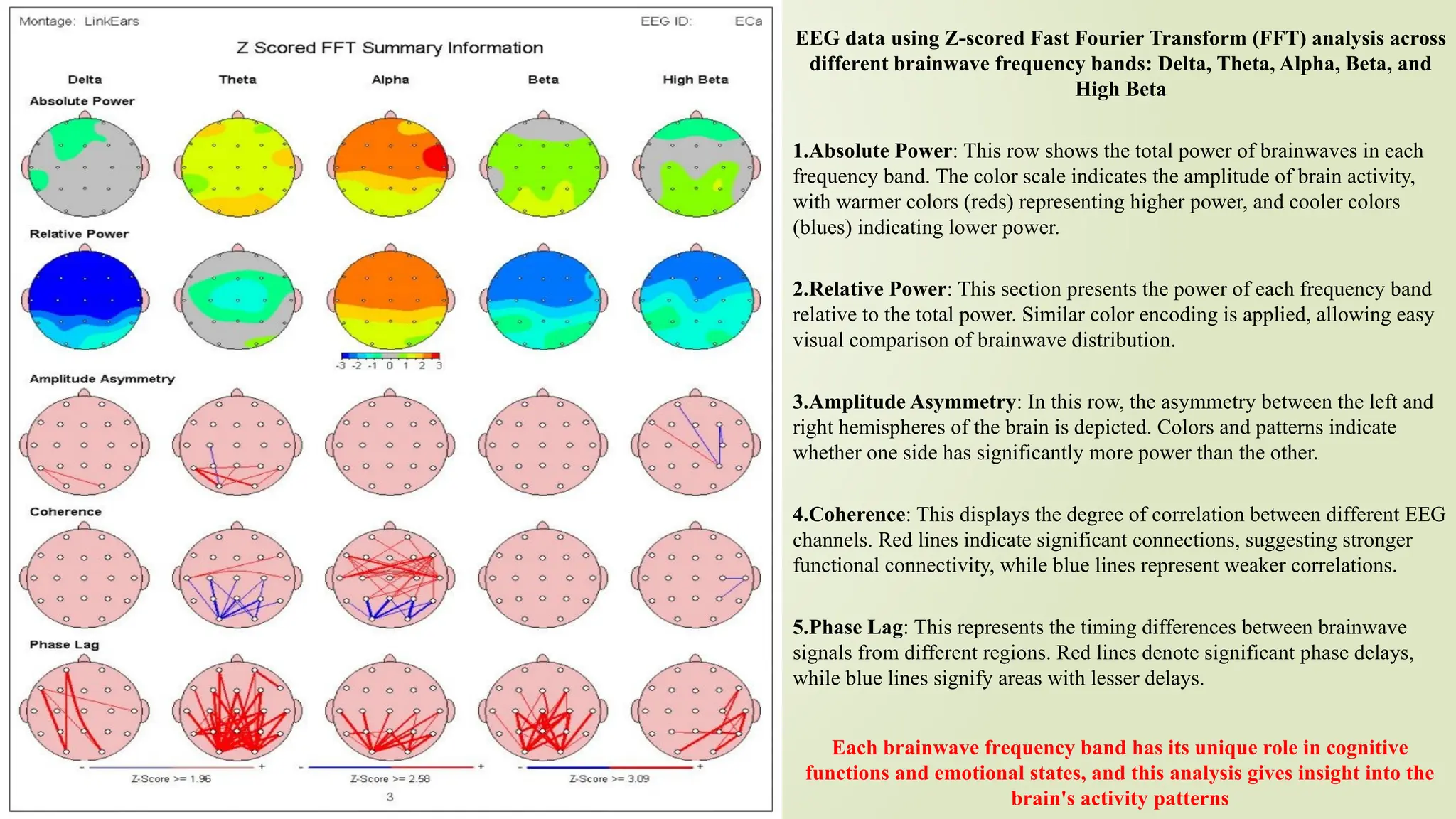Brain Mapping Test; A psychology and Forensic Perspective | PPTX