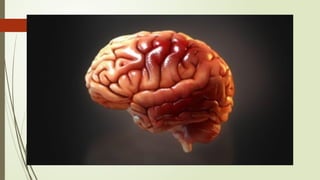 Brain Mapping Test; A psychology and Forensic Perspective | PPTX