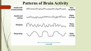 Brain Mapping Test; A psychology and Forensic Perspective | PPTX