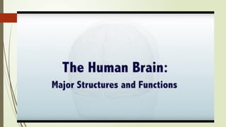 Brain Mapping Test; A psychology and Forensic Perspective | PPTX