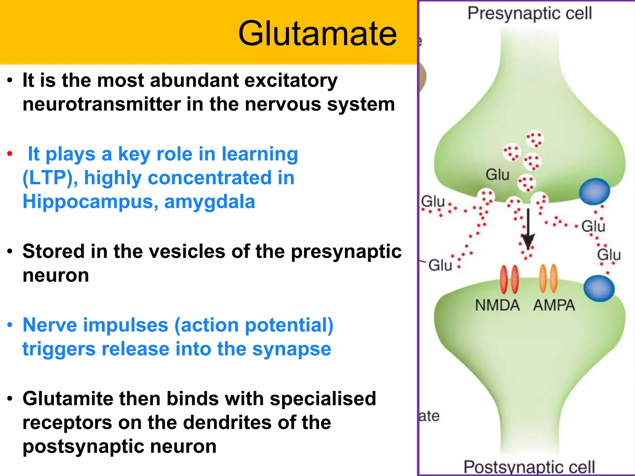 VCE U4 Psychology - Brain mechanisms involved in learning | PPTX