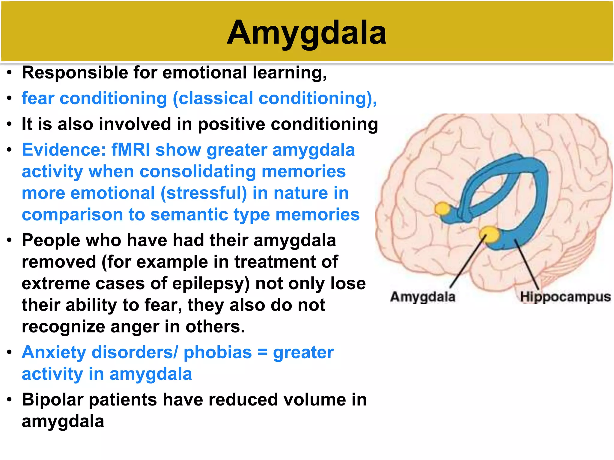 VCE U4 Psychology - Brain mechanisms involved in learning | PPTX