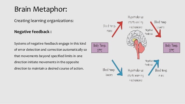 Brain metaphor