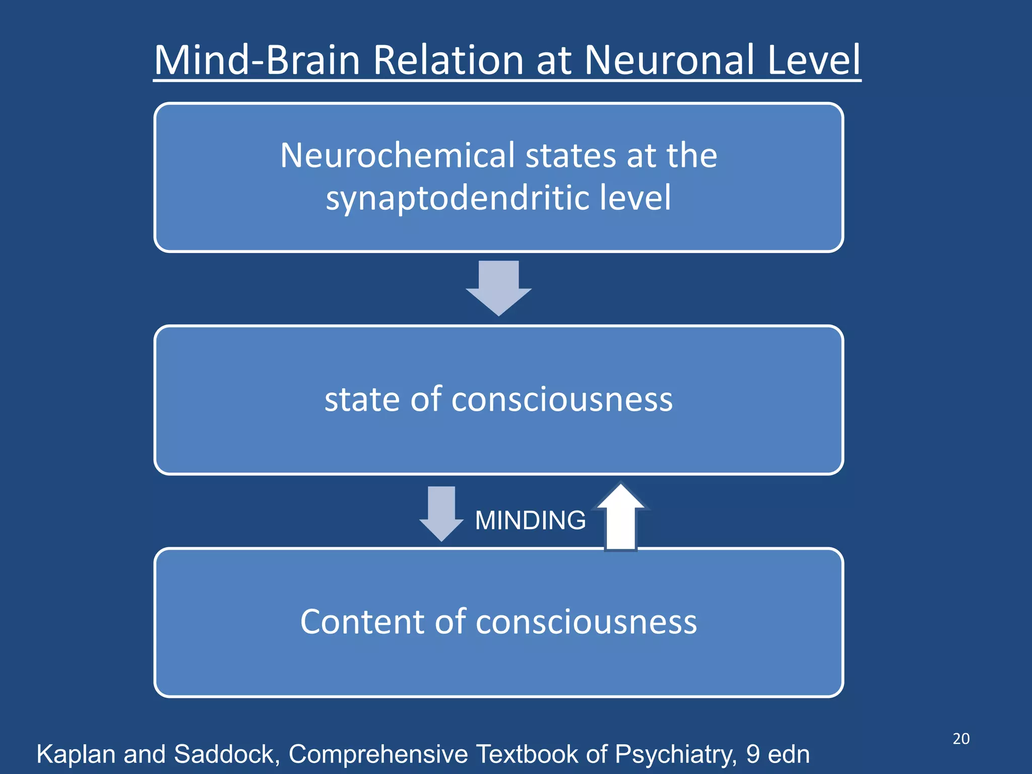 Brain models of the mind | PPT