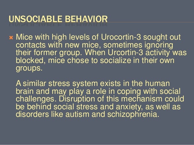 Brain Molecule Potentially Linked to Unsociable Behavior