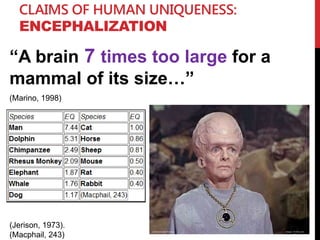 Brain myths popular science presentation לחוג הירושלמי | PPTX