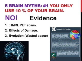 Brain myths popular science presentation לחוג הירושלמי | PPT