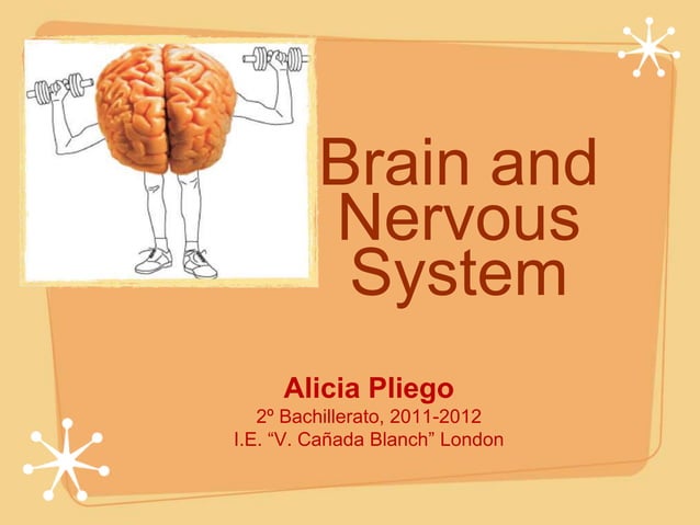 Brain & Nervous System, by Alicia | PPSX | Brain and Nervous System Disorders | Diseases and ...