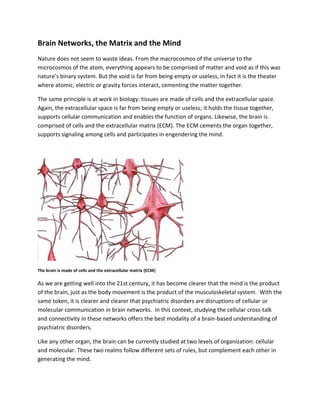 Brain networks and the matrix and the mind | PDF | Brain and Nervous ...