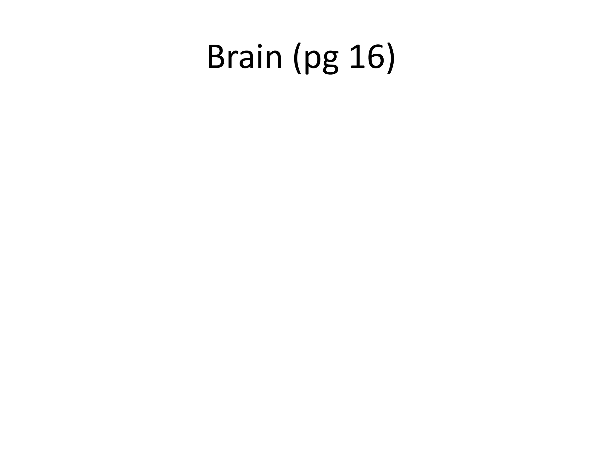 Brain notes projects | PPT