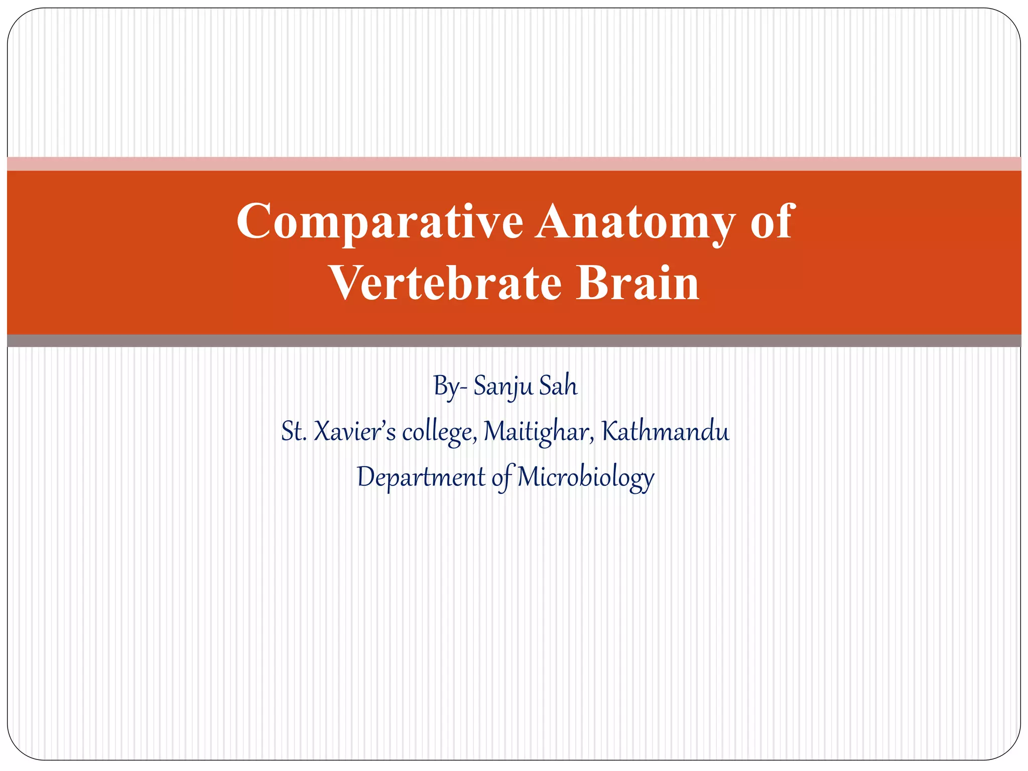 Brain of vertebrates | PPTX