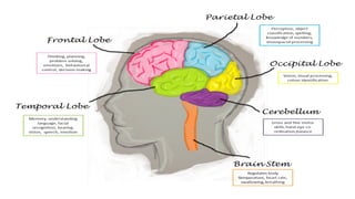 Brainology.pdf