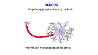 Brainology.pdf