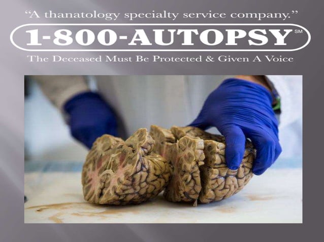 Brain Only Autopsy - 1800autopsy | PPT