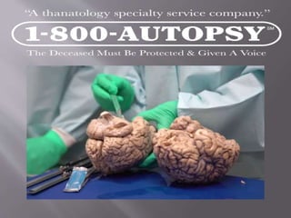 Brain Only Autopsy - 1800autopsy | PPT