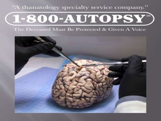 Brain Only Autopsy - 1800autopsy | PPT