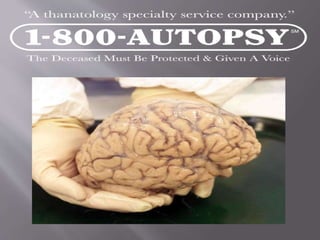 Brain Only Autopsy - 1800autopsy | PPT