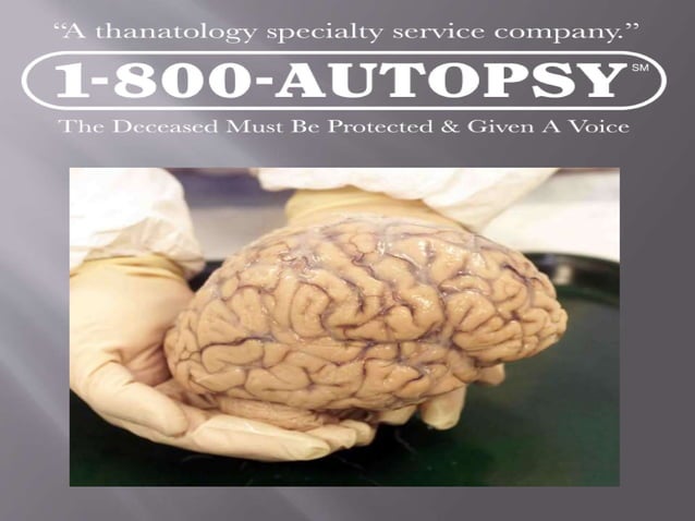 Brain Only Autopsy - 1800autopsy | PPT