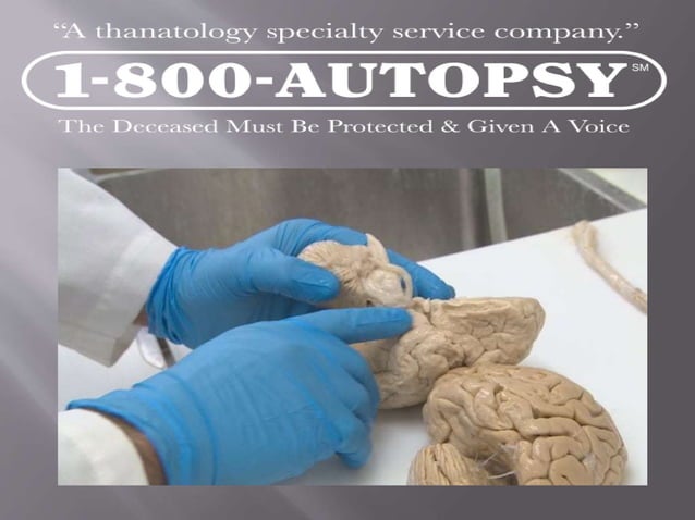 Brain Only Autopsy - 1800autopsy | PPT