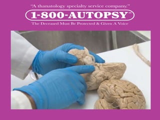 Brain only autopsy company | PPT