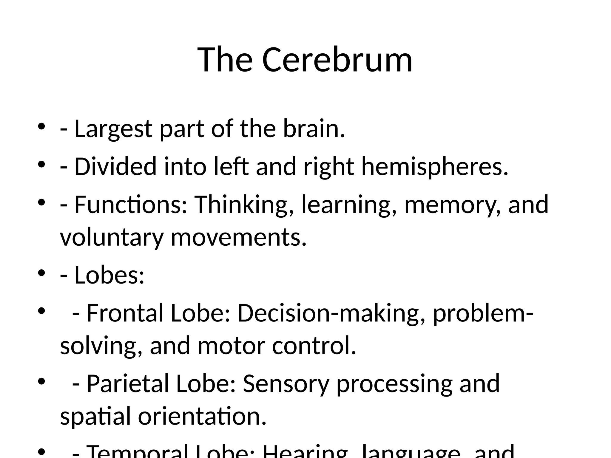 The different parts of the brain and its function. | PPTX