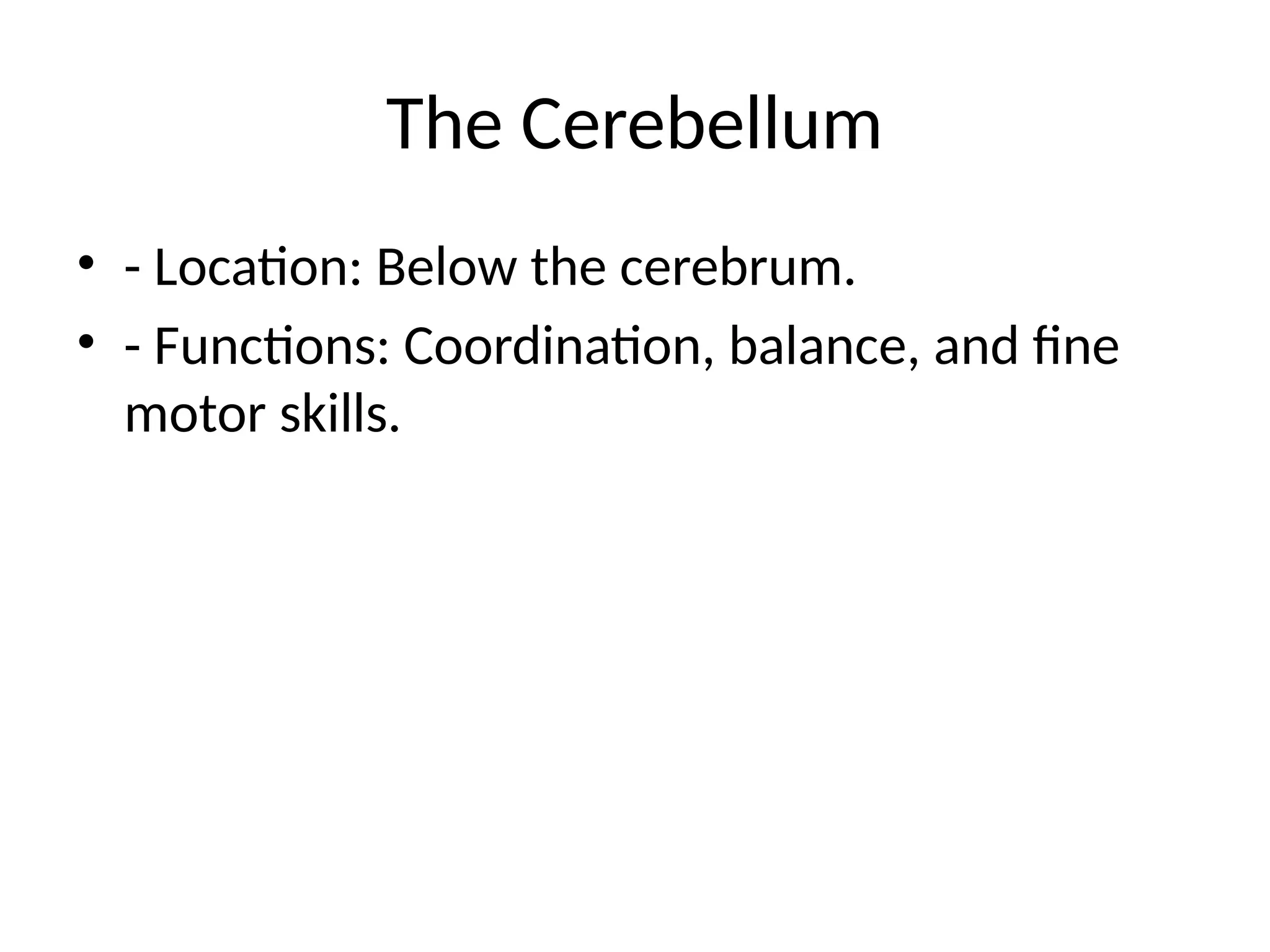 The different parts of the brain and its function. | PPTX
