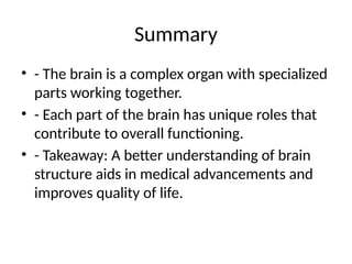 The different parts of the brain and its function. | PPTX