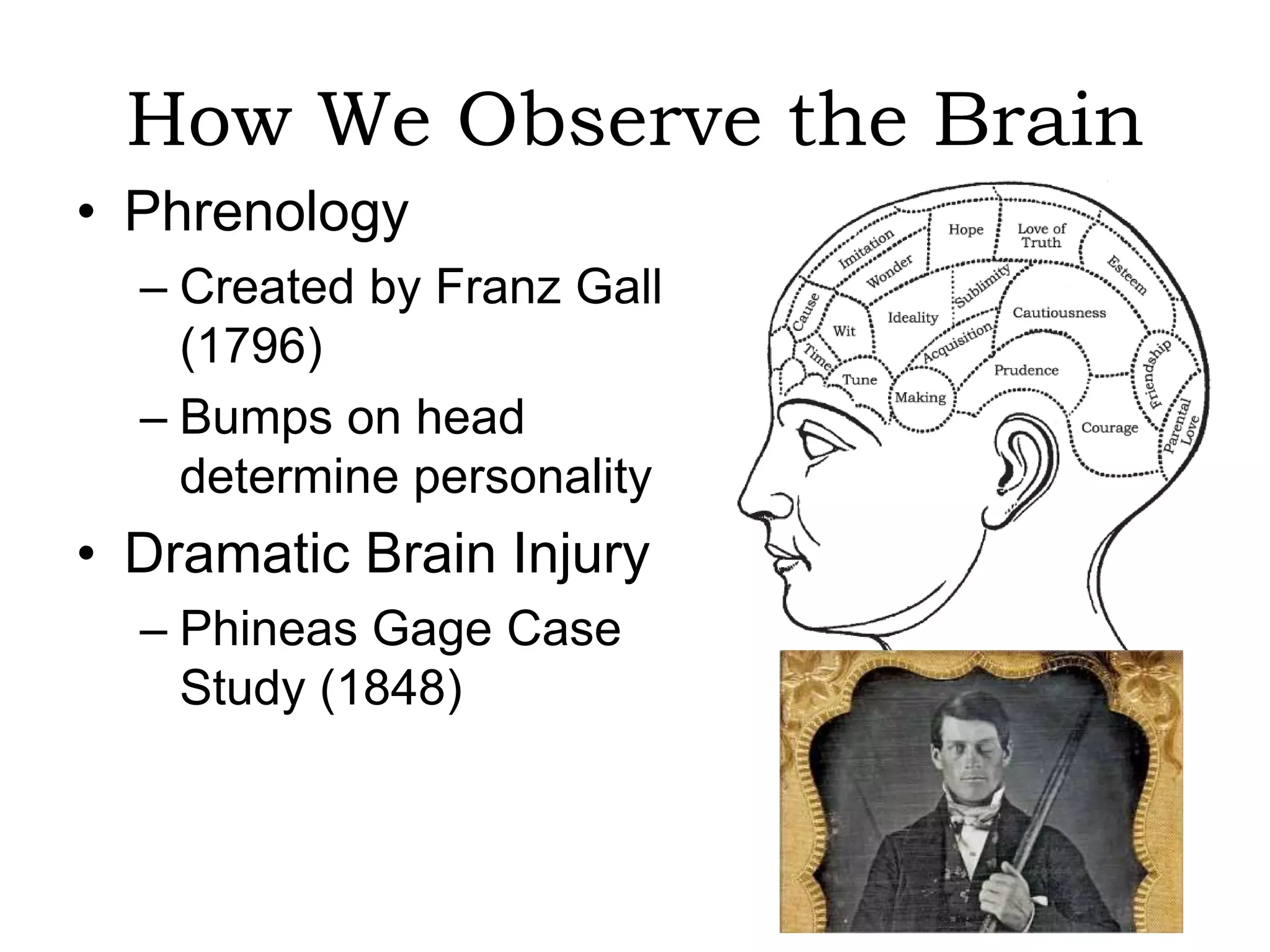 Biological Bases of Behavior: Parts of Brain | PPT