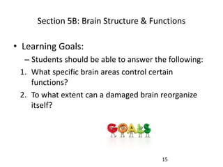 Biological Bases of Behavior: Parts of Brain | PPTX