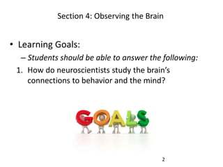 Biological Bases of Behavior: Parts of Brain | PPT