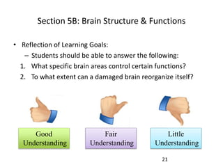 Biological Bases of Behavior: Parts of Brain | PPT