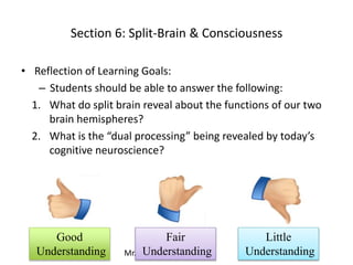 Biological Bases of Behavior: Parts of Brain | PPT