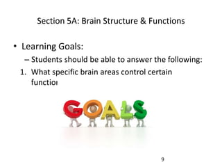 Biological Bases of Behavior: Parts of Brain | PPT