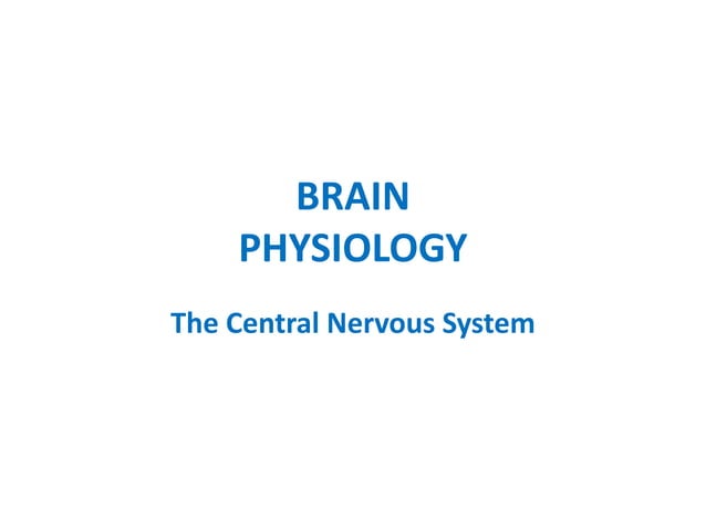 Brain Physiology.ppt (the central nervous system) | PPT