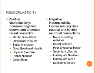 Brain Plasticity | PPTX